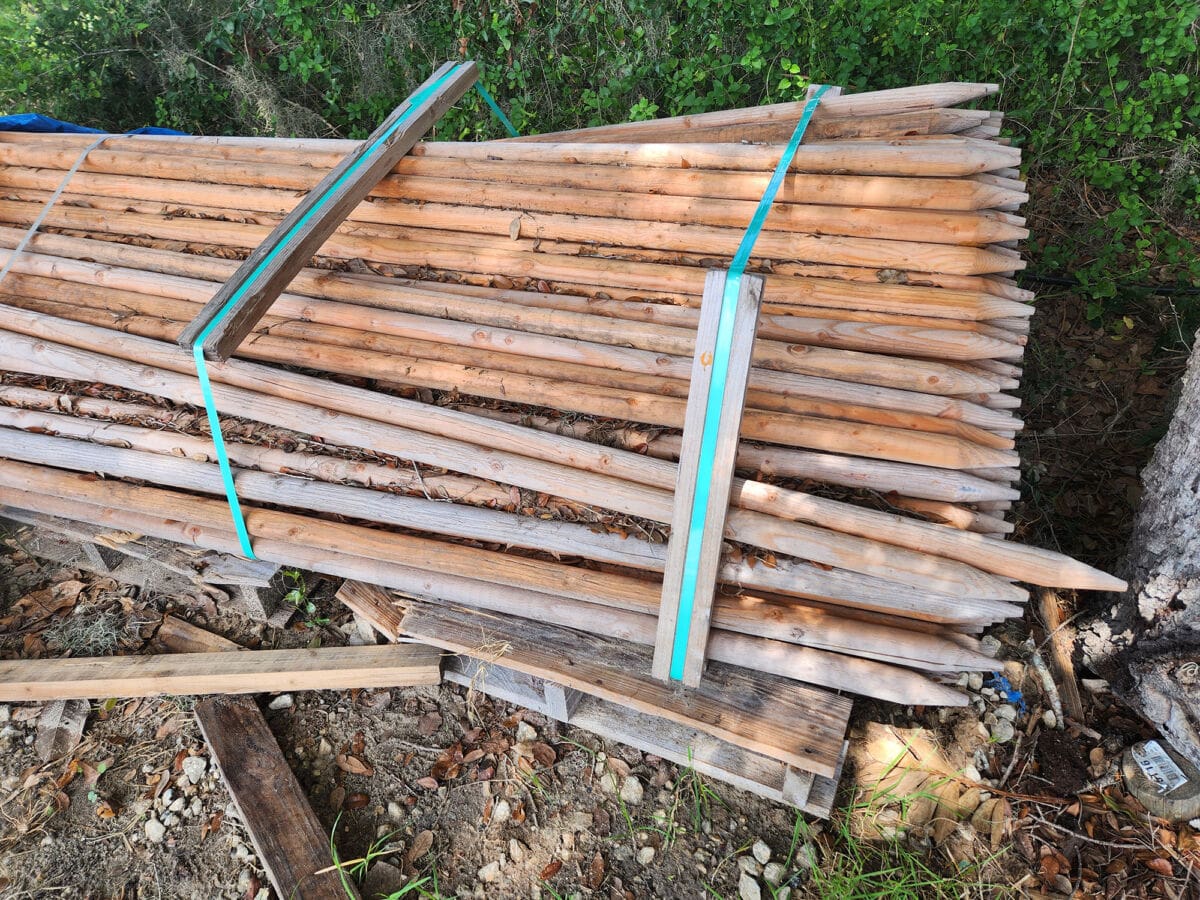 Gallery – Zephyr Lake Tree Farm