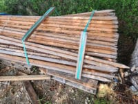 Gallery – Zephyr Lake Tree Farm