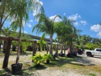 Gallery – Zephyr Lake Tree Farm