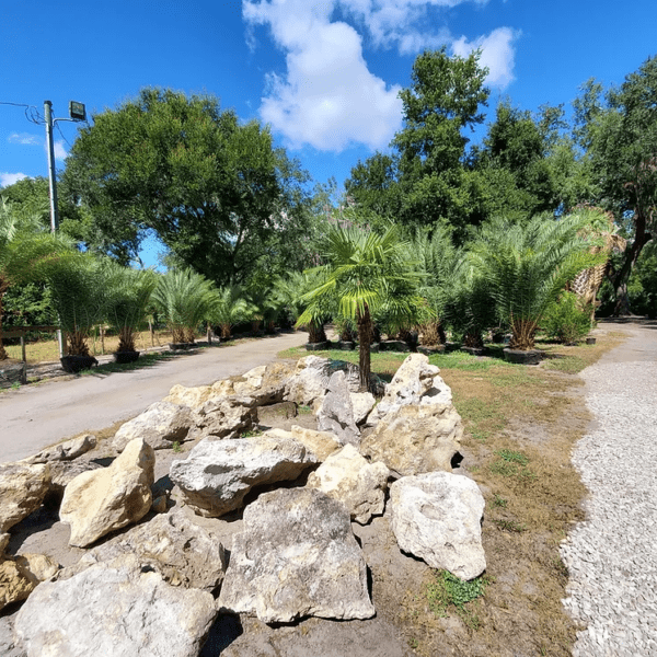 Welcome to Zephyr Lake Tree Farm - Your Nature Escape